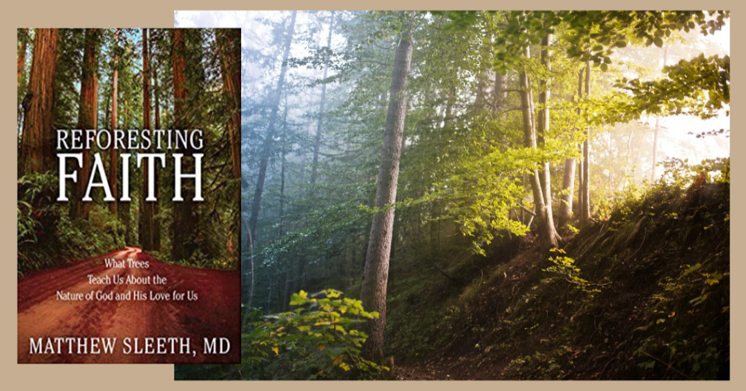 Reforesting Faith by Matthew Sleeth – Abba's Prayer Warrior Princess
